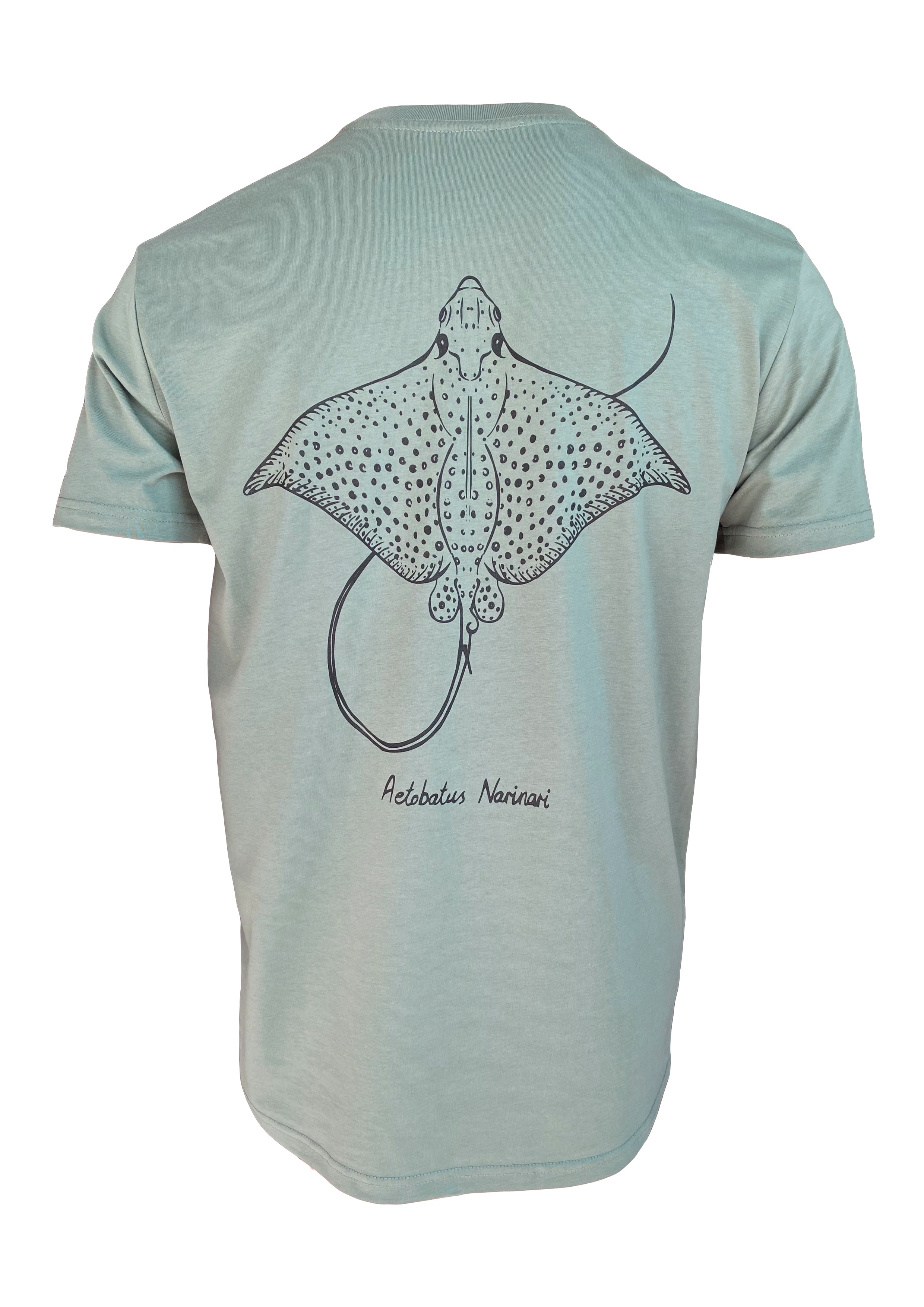 Cotton T-shirts & Tanks – Anchorline Australia